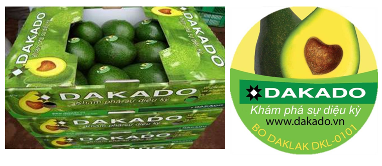 Dakado Avocado - Dakado.vn