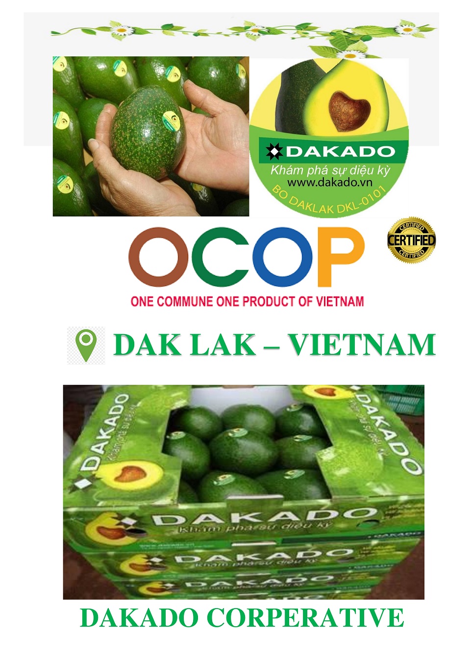 Partner - Dakado.vn