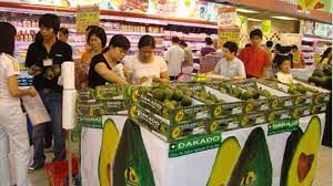 DAKADO - Dak Lak avocado targets world market - Dakado.vn